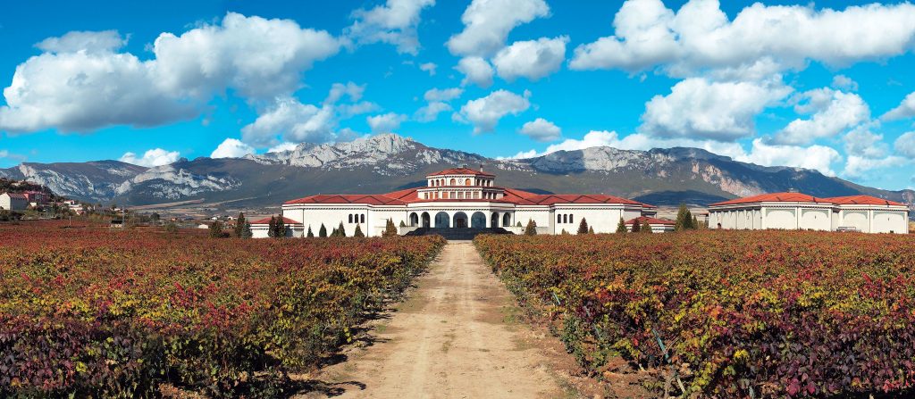 Vino, arte y arquitectura, realiza tu sueño en Bodegas Campillo