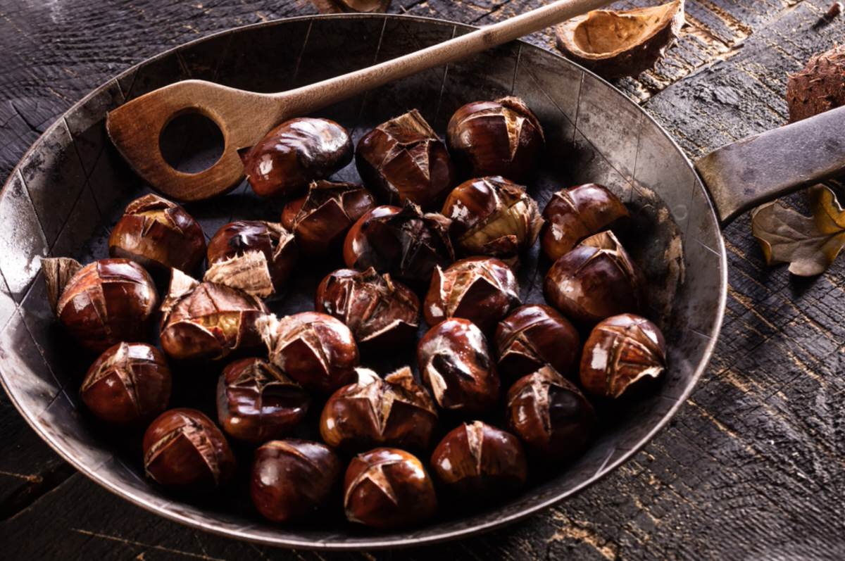 PROPIEDADES Y BENEFICIOS DE LAS CASTAÑAS